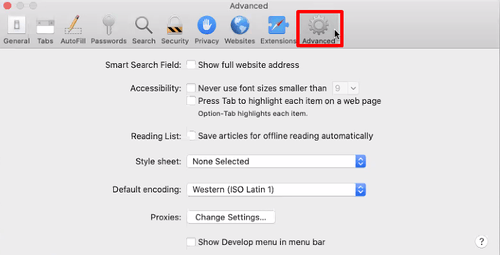 Save Browser Console File