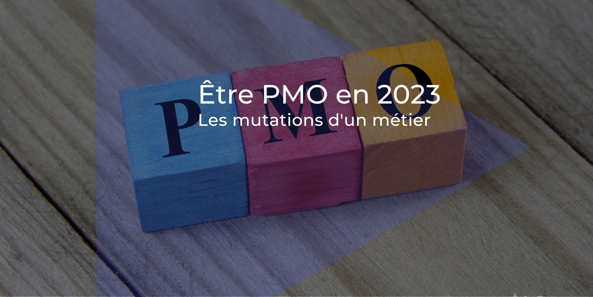 Evolution du métier de PMO : tendances et compétences-clés