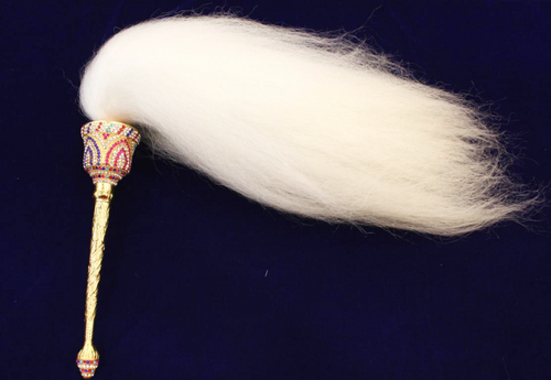 Why is There a Chaur Sahib? - Blog Post