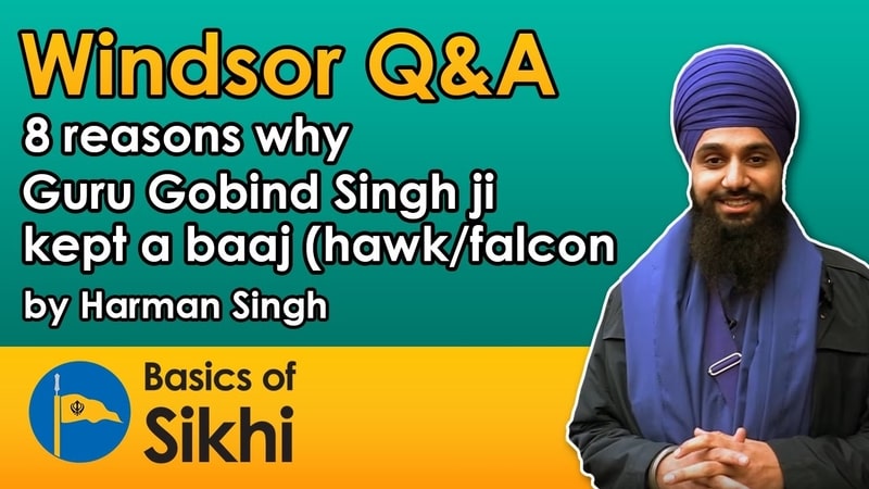 8 Reasons Why Guru Gobind Singh Ji Kept a Baaj (Falcon/Hawk) - Blog Post