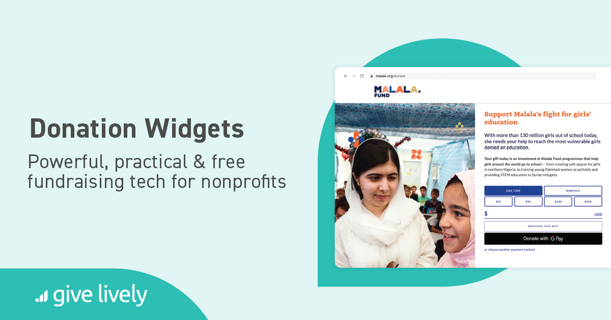 Donation Widgets | Give Lively