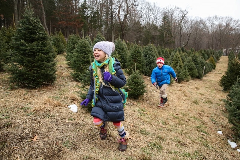 Emmerich Tree Farm - Christmas Tree Farm & Wedding Venue