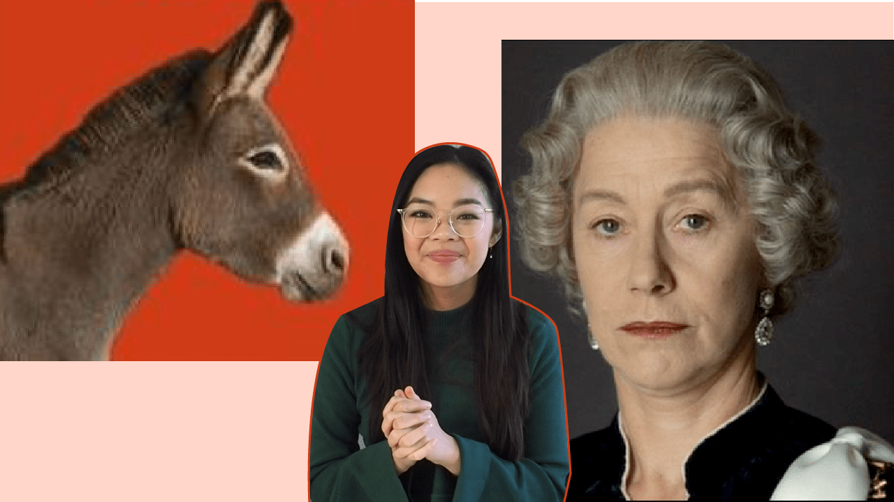 Ransom and The Queen | Lisa's Study Guides