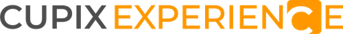 Cupix Experience: Construction Software Solutions