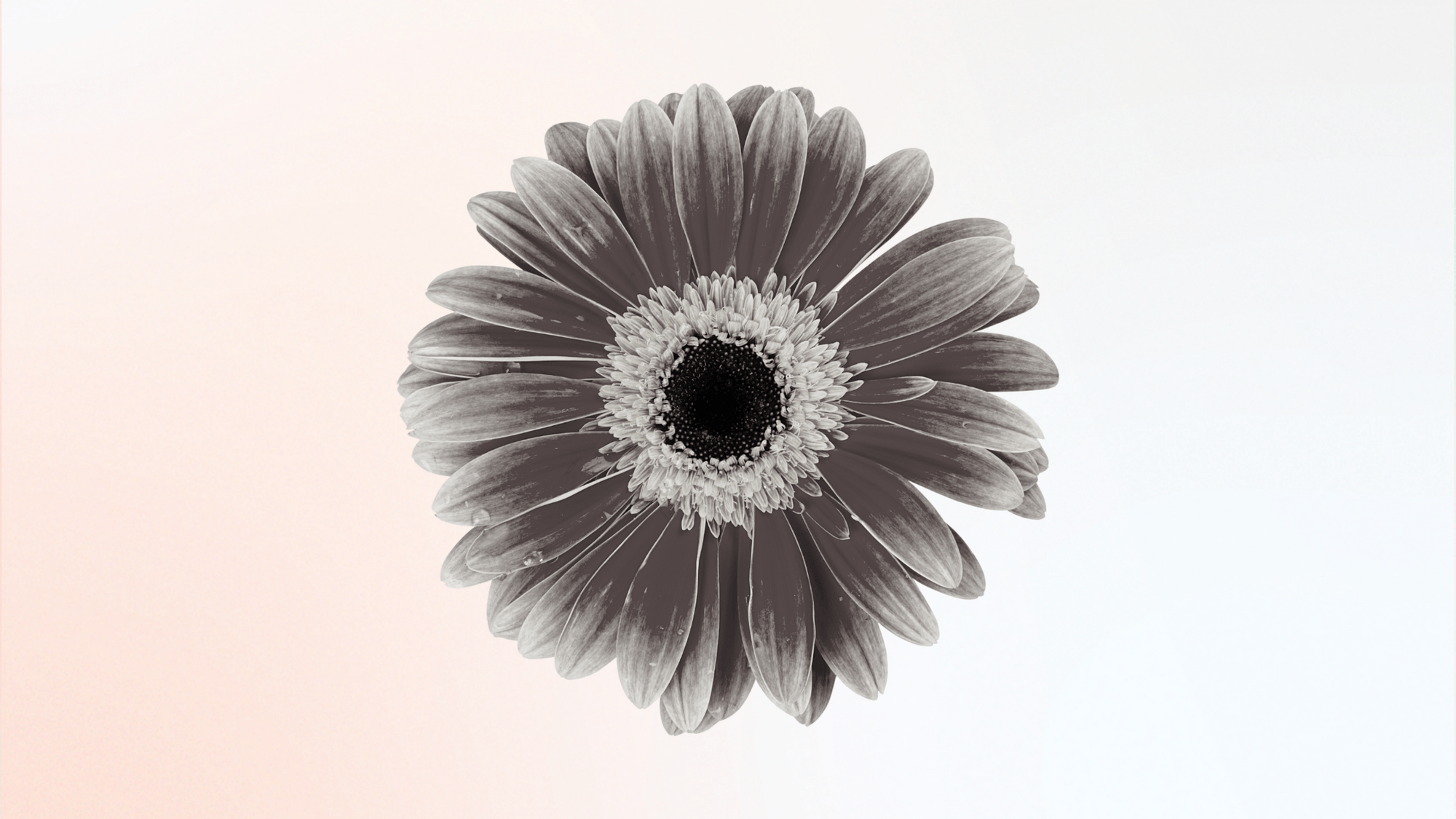 "Do They Like Me Back?" Quiz