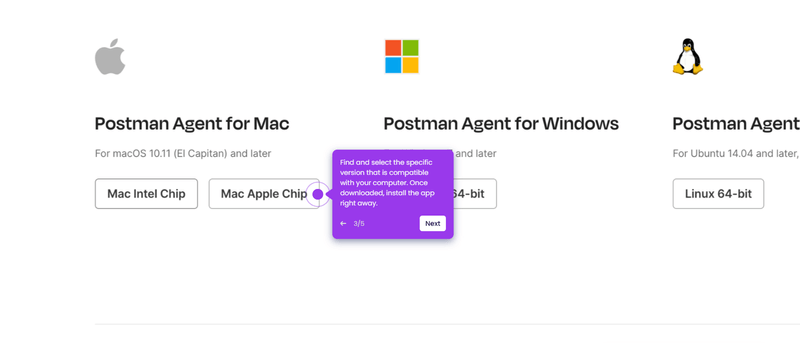 How to Export Collections in Postman: 1-Min Guide