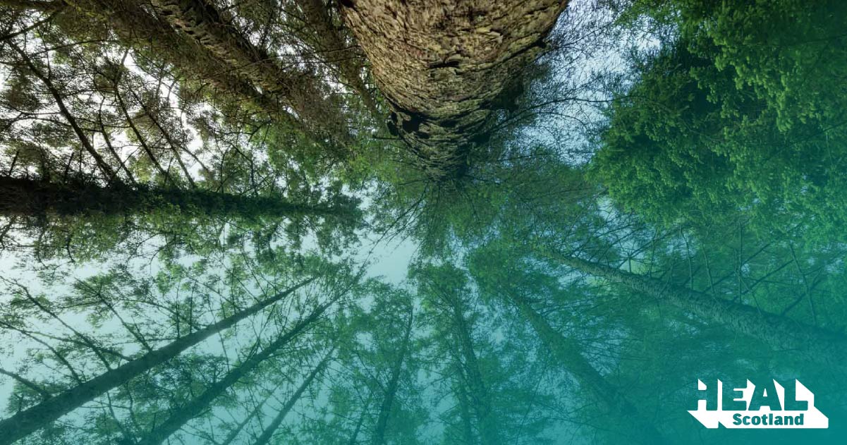 Heal Scotland - Educate. Inspire. Support