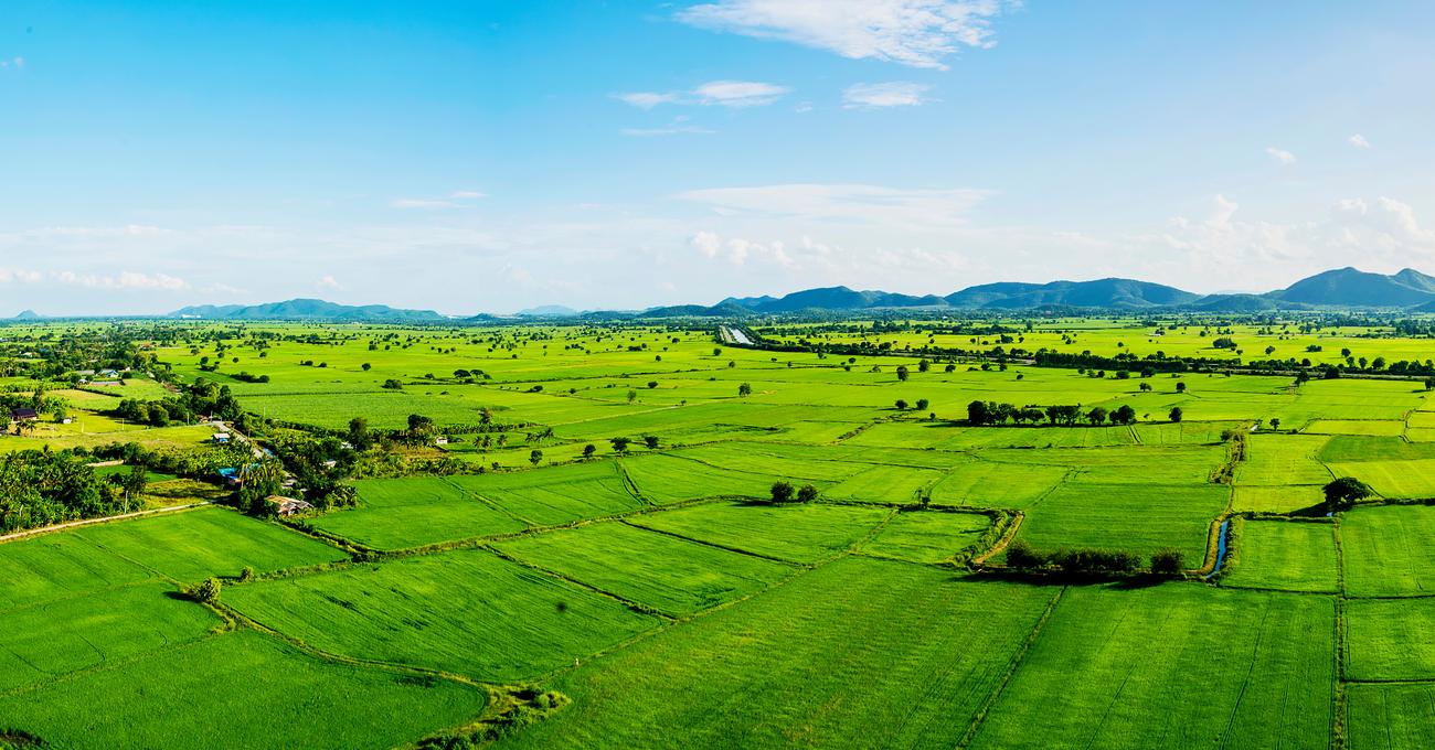 What To Know About Buying Vacant Land | askBAMLand