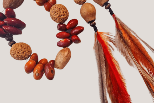 Red Dust | Supporting Indigenous Communities