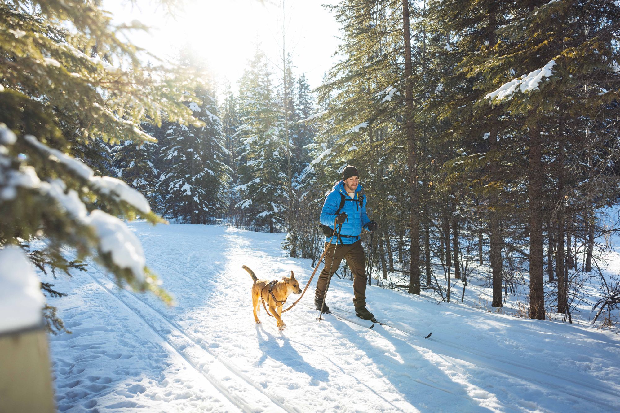 Winter Activities in and Around Red Deer | Visit Red Deer