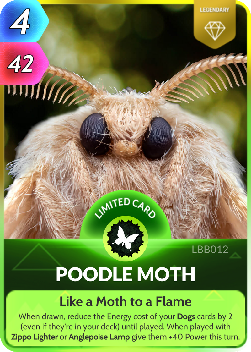Poodle Moth