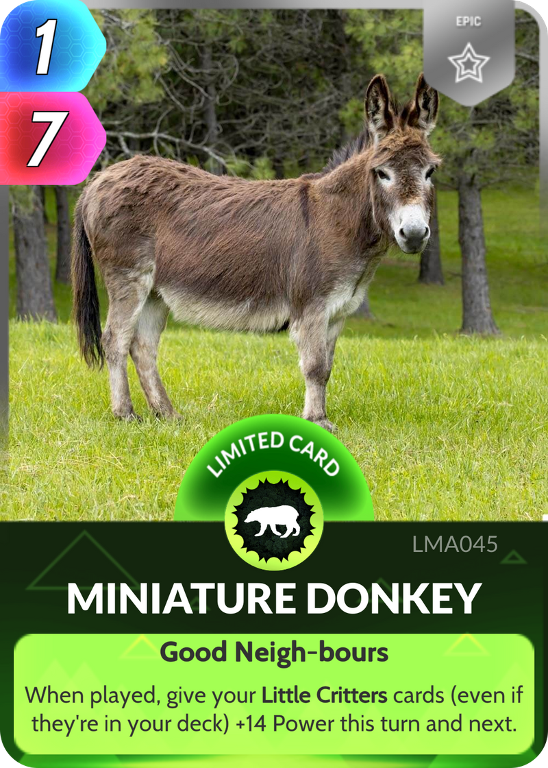 Miniature Donkey
