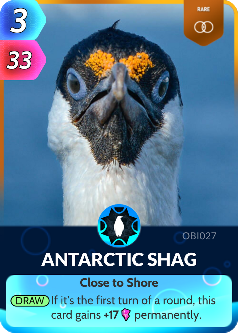 All Cards