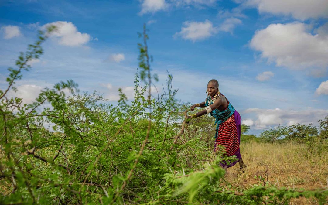 African People & Wildlife - Community-Driven Conservation