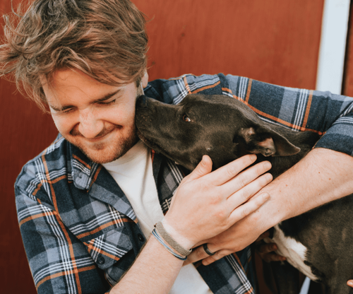 The School of Dating | Dating Program for Christians