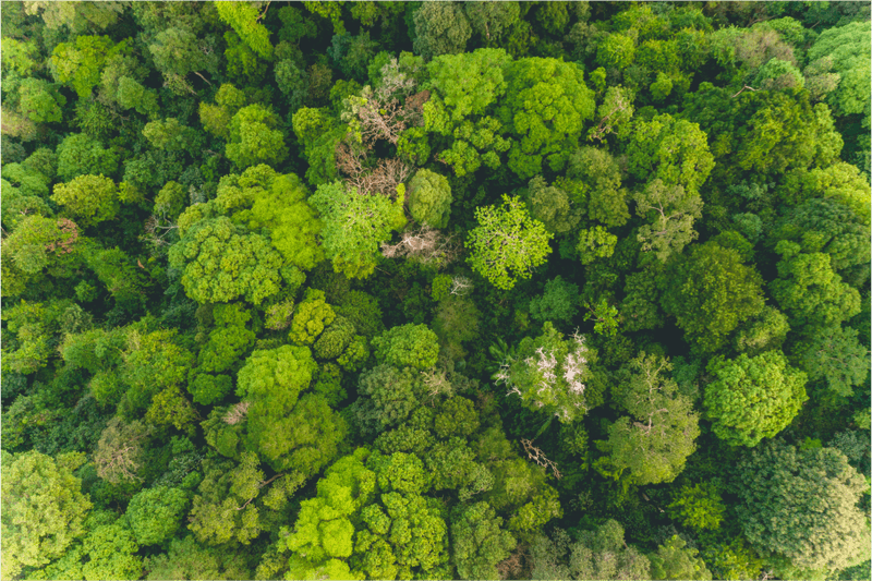 Earth Blox | geospatial climate and nature insights