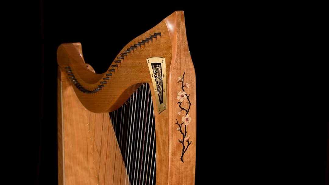 FH36S Lever Harp | Dusty Strings