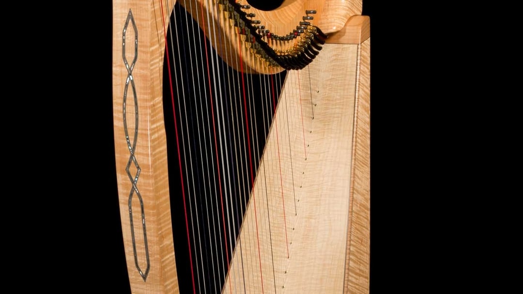 FH36S Lever Harp | Dusty Strings