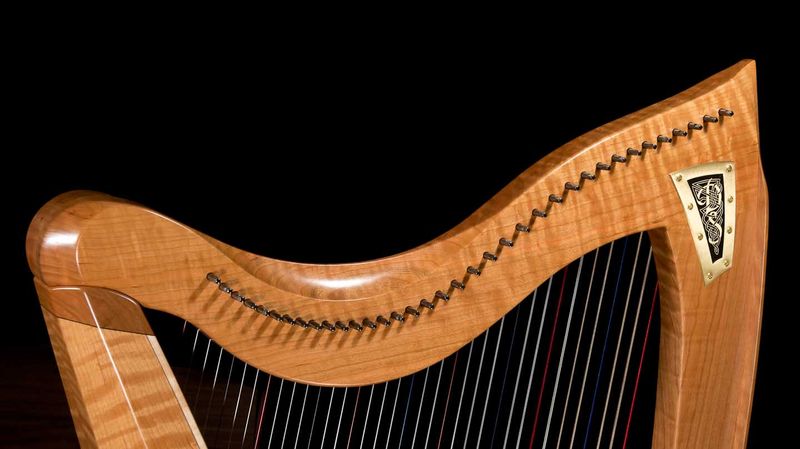 Pricing | Dusty Strings