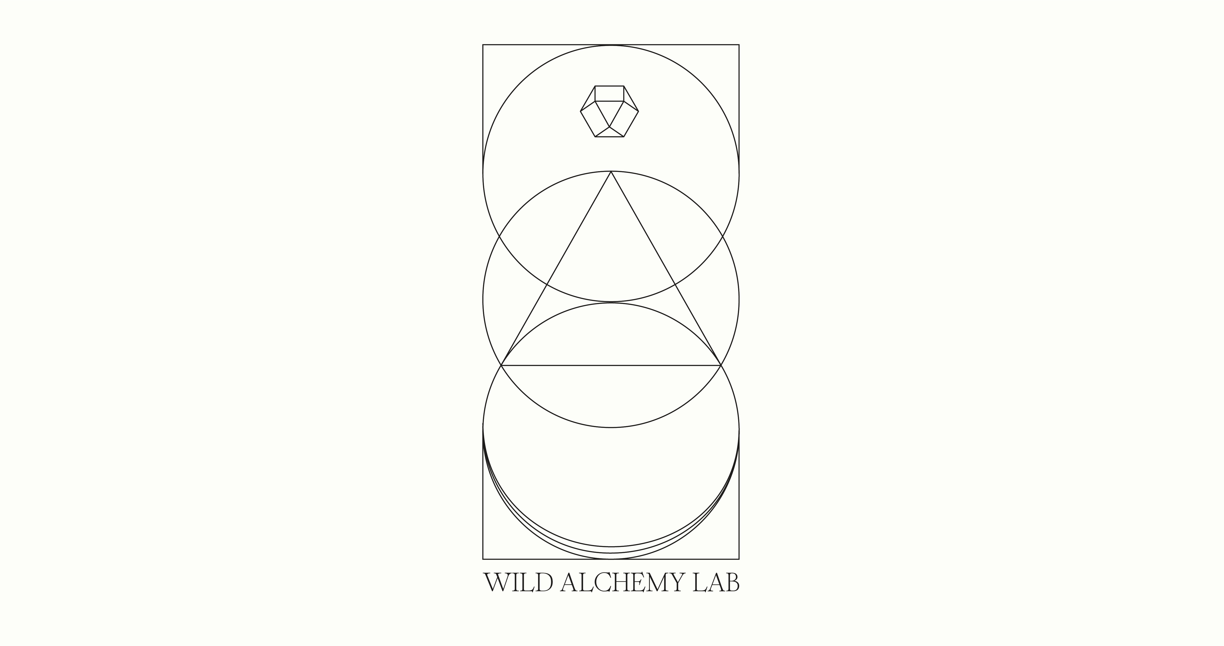 Wild Alchemy Lab | Jemma Foster