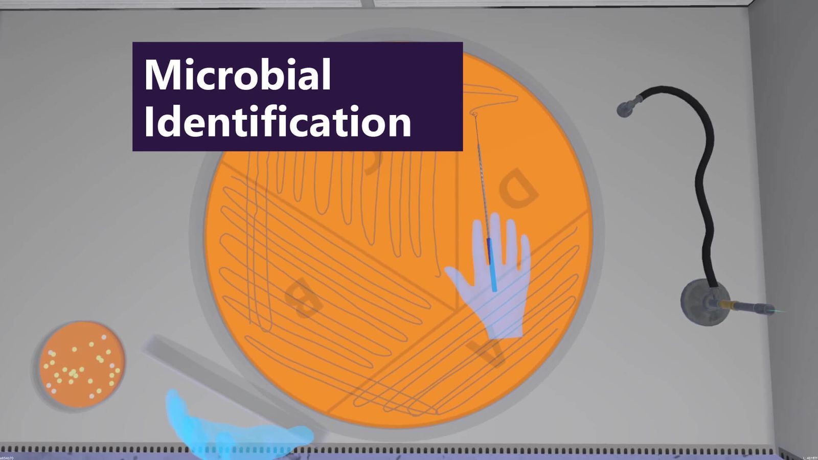 Microbial Identification - Virtuosi
