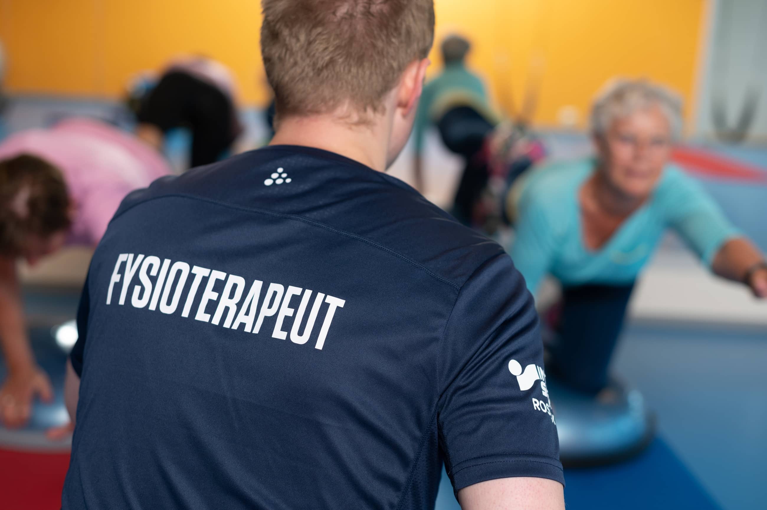 Bris fysioterapi