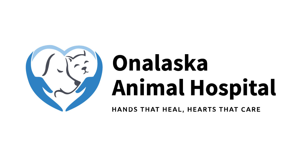 Veterinary Team in Onalaska, WI | Onalaska Animal Hospital