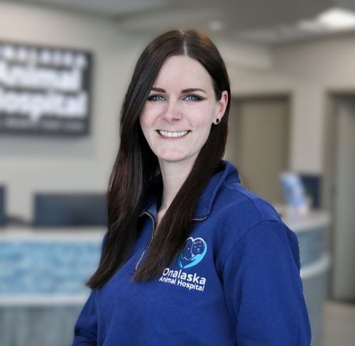 Meet Our Veterinary Team | Onalaska Animal Hospital