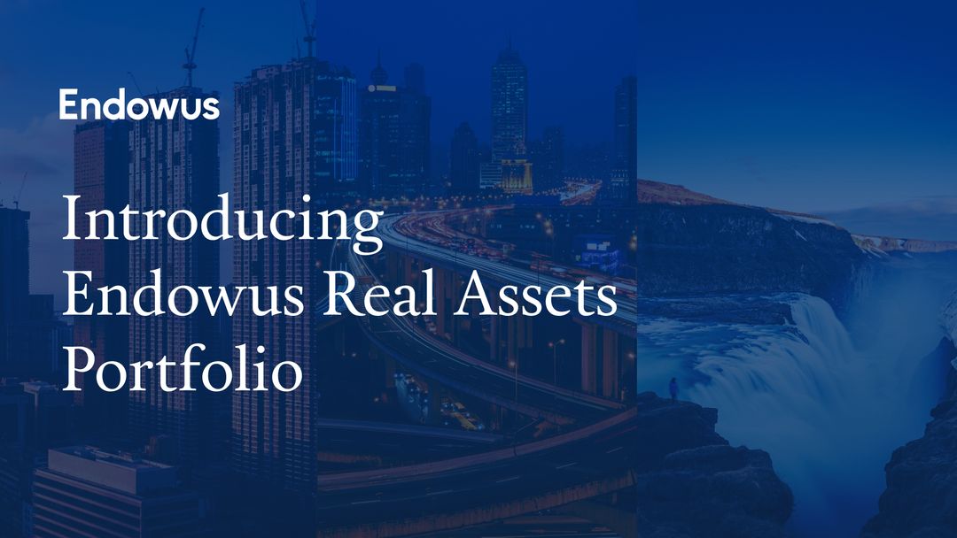Introducing Endowus Real Assets Portfolio