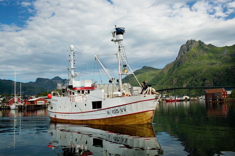 Norsk Hval
