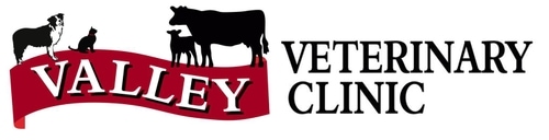 Valley Veterinary Clinic