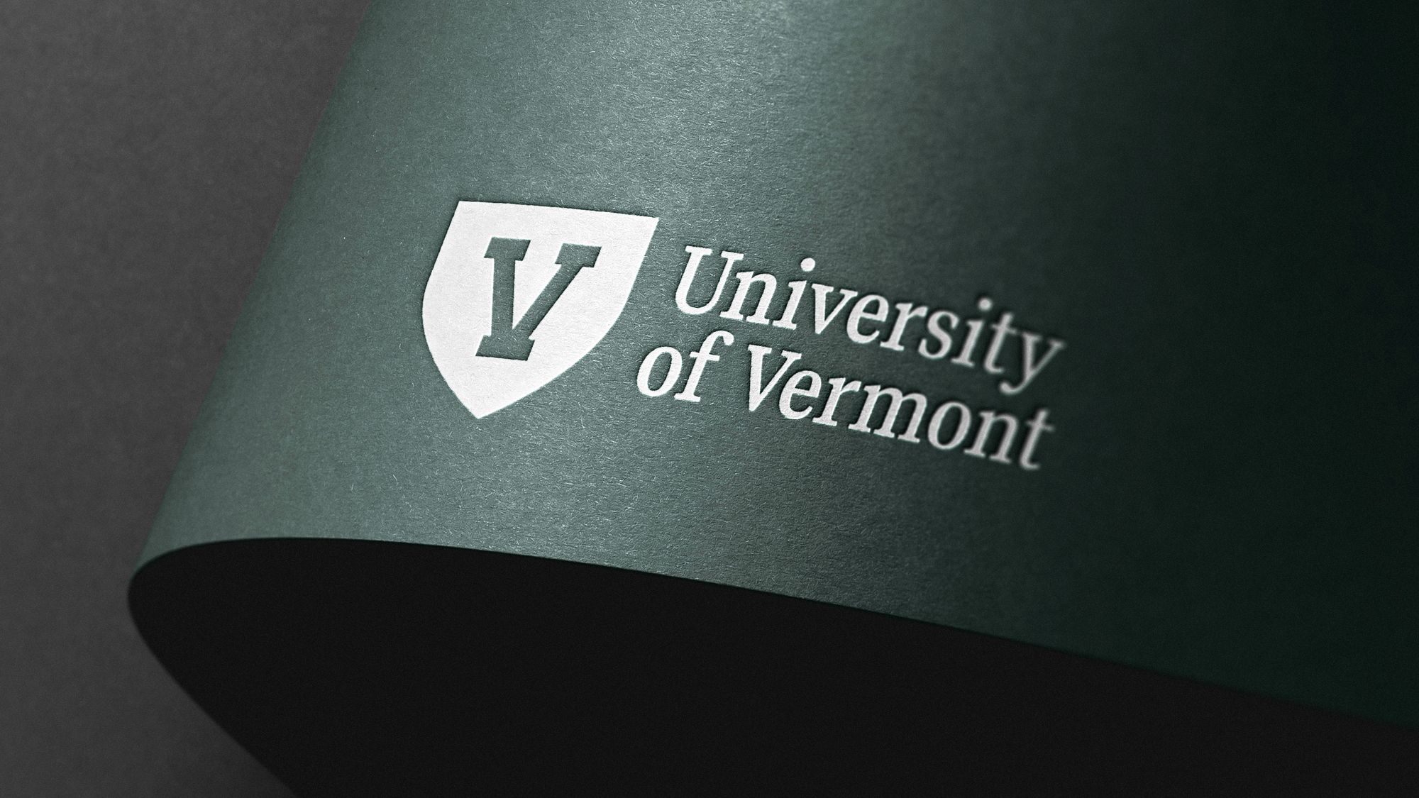 Branding & Communication for Nonprofits | We are Generation