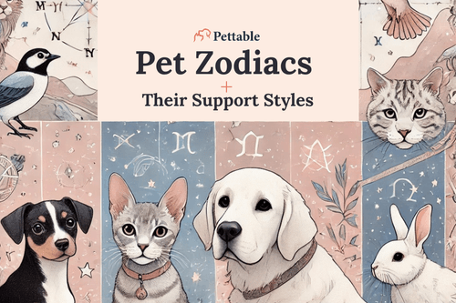 ESA Letters For Your Pet – Fast, Easy & Legitimate | Pettable