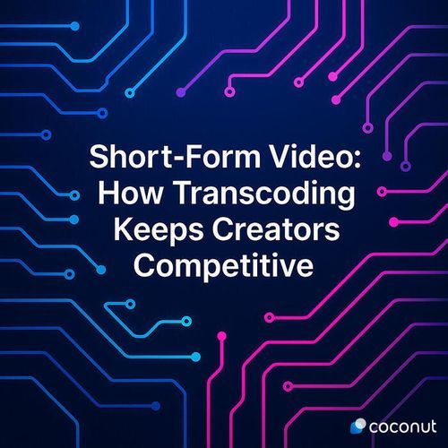 2K Against 4K Quality: an Exposed Visual Revolution | Coconut©