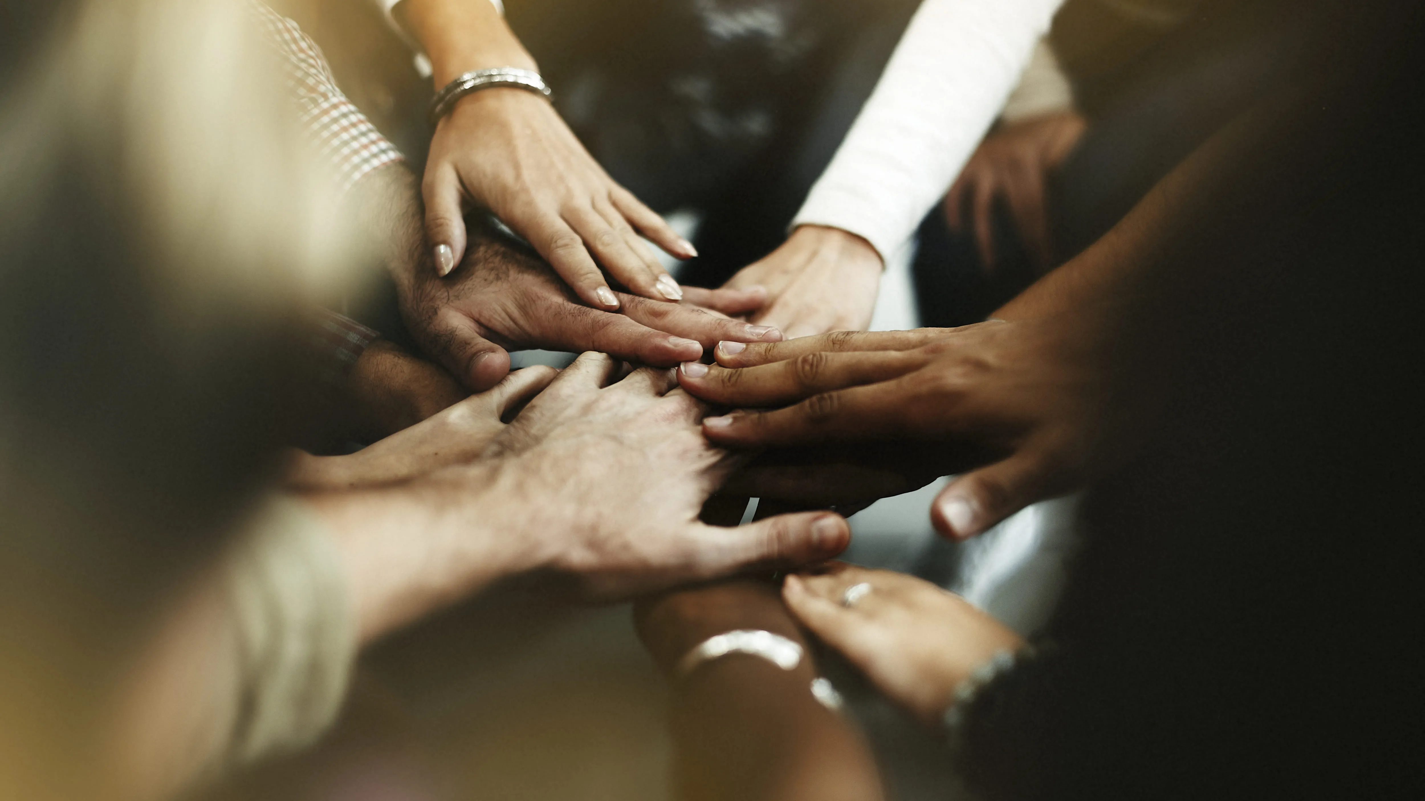 Volunteer Schedule: The Ultimate Guide