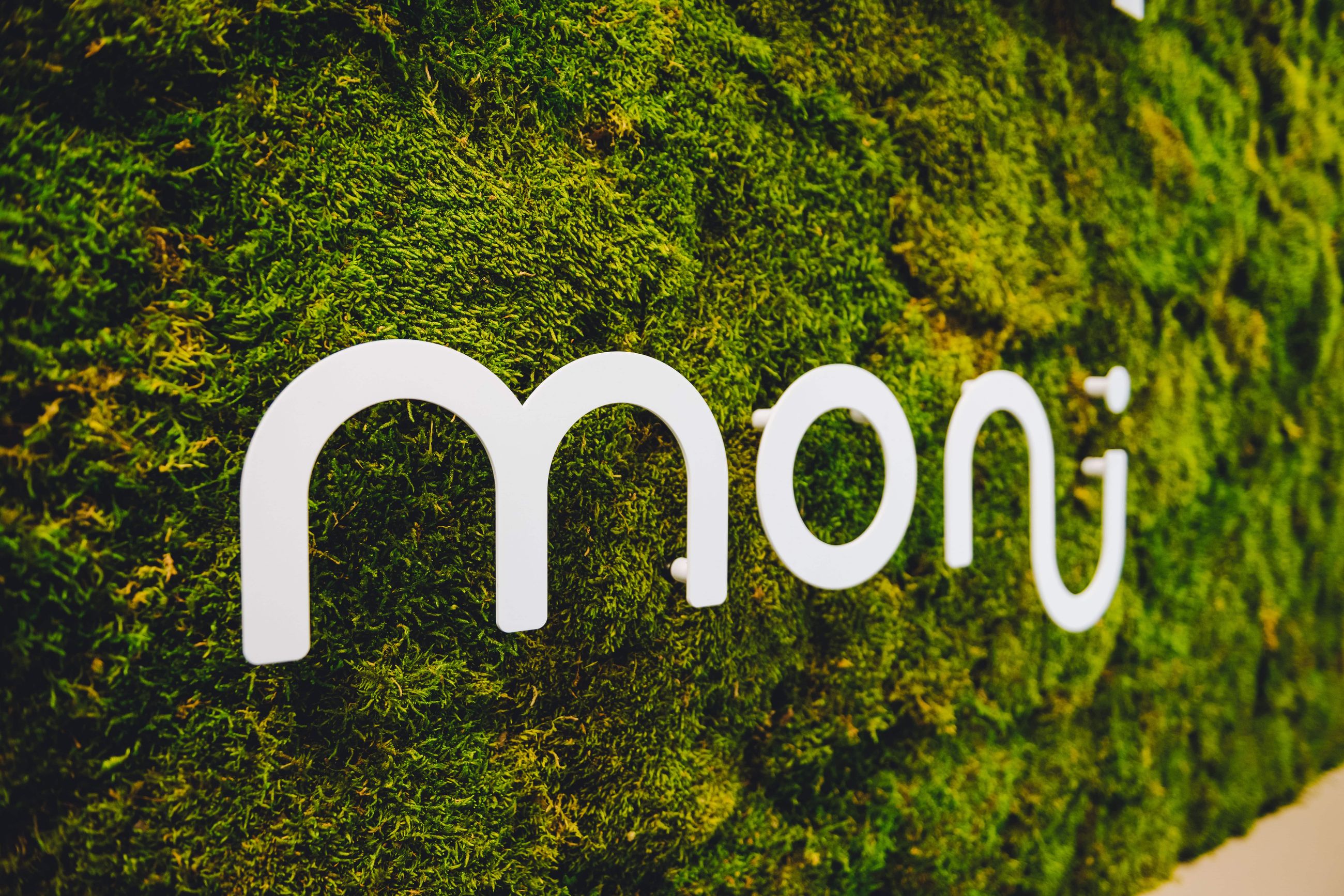 Moni - Jouw Business Controller, altijd dichtbij.