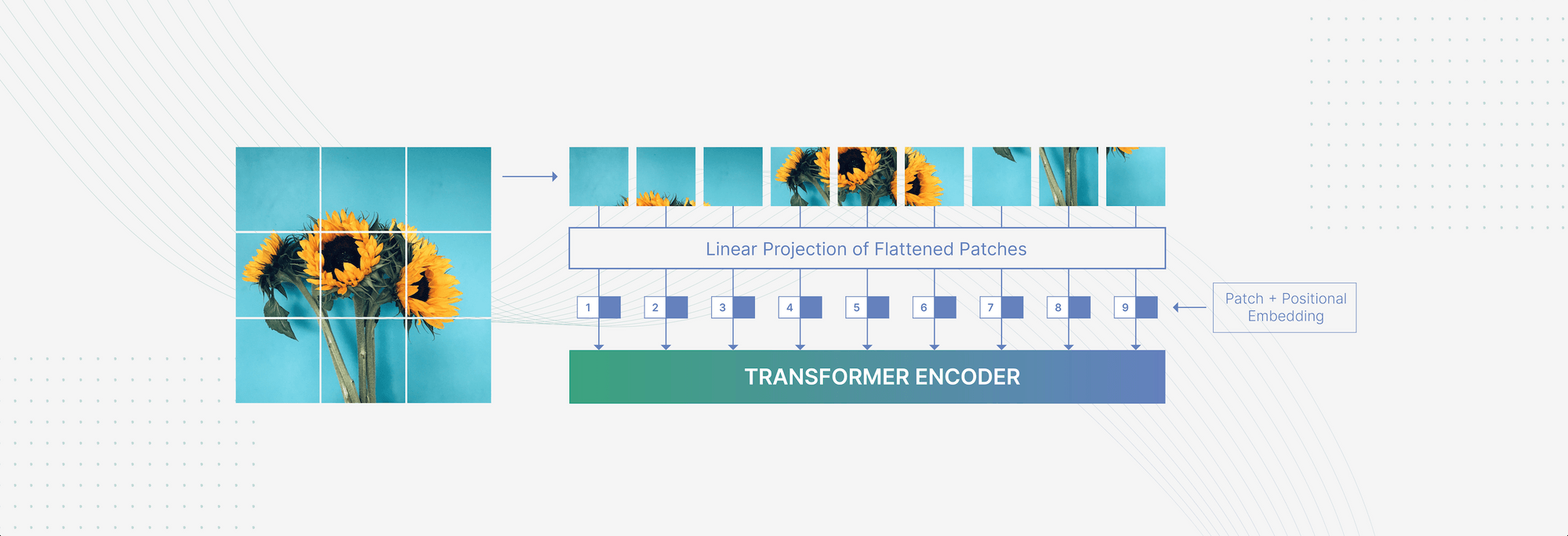Are Transformers Replacing Cnns In Object Detection — Picsellia