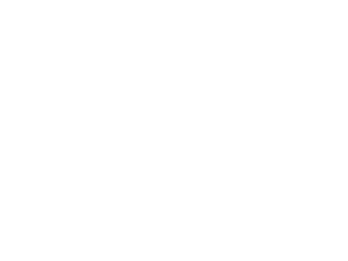 Lee's Palace in Toronto | Music, Bar, & More