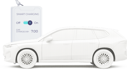 BMW & MINI Smart Charging (Official API)