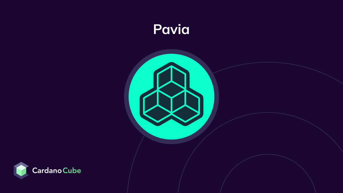Pavia (METAVERSE) on the Cardano Blockchain | Prices, Charts, Teams ...