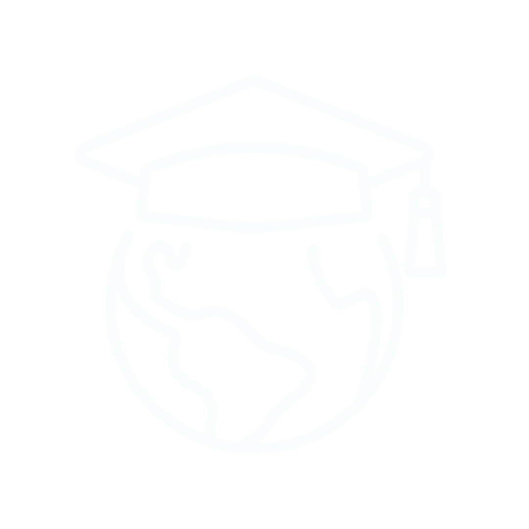 CAPS Grade 11 FET Phase Online School