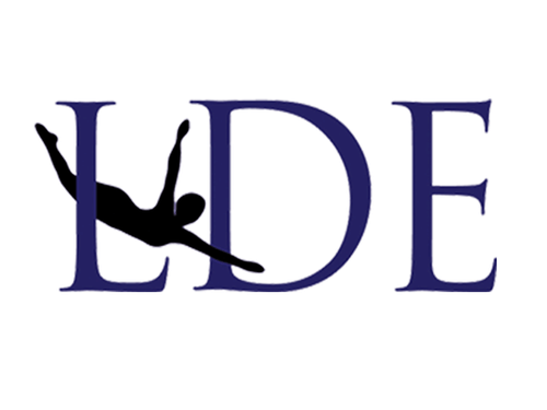 The Lucid Dreaming Experience