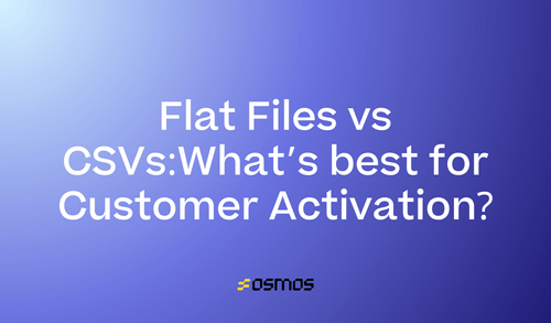 Flat Files vs CSVs: What’s Best for Customer Activation?