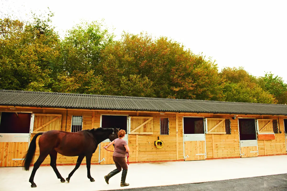 How to Design Horse Stables for Rest and Relaxation | Chart Stables