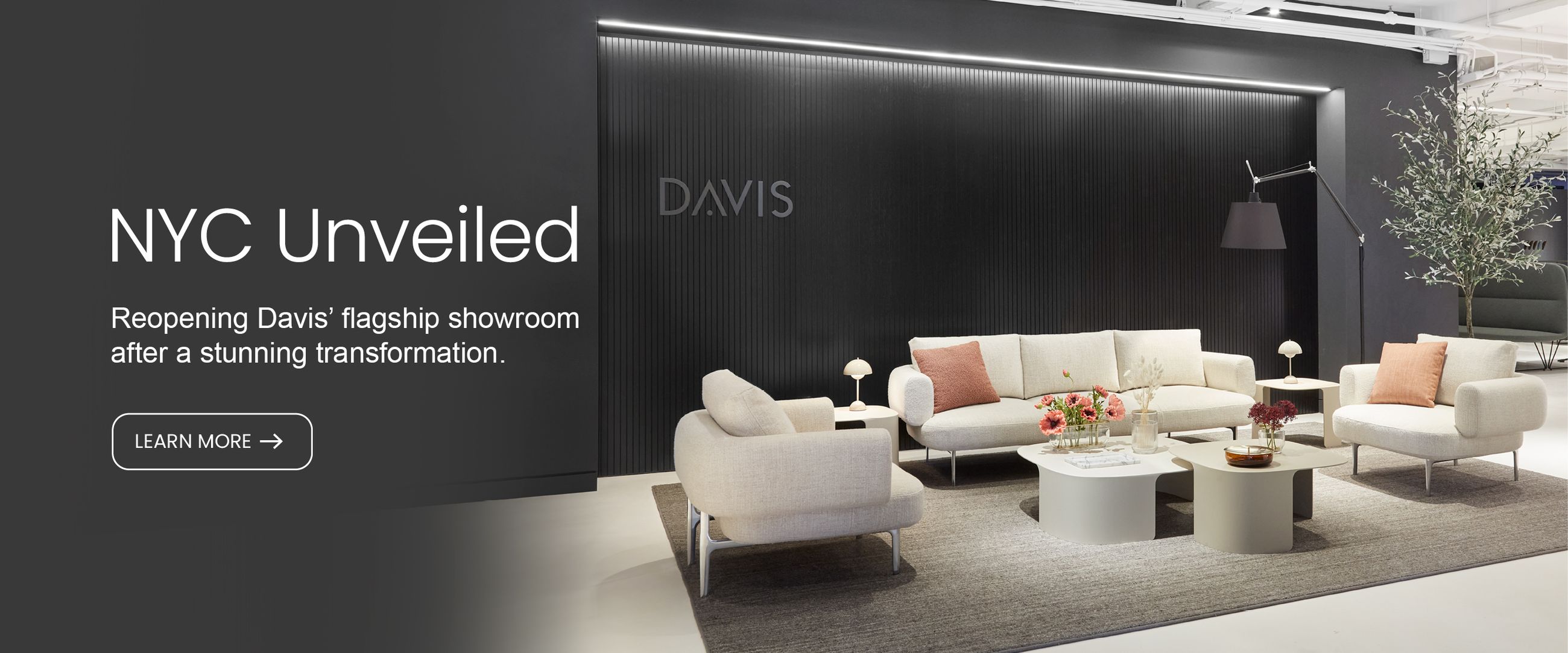 Davis Furniture