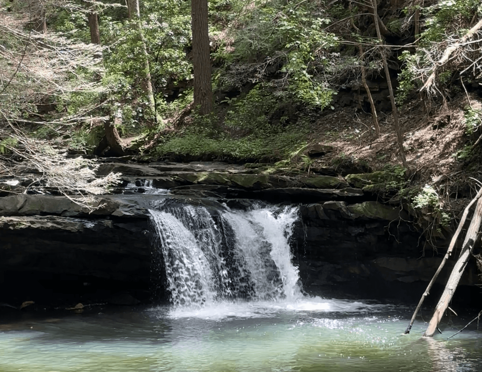 The Retreat at Deer Lick Falls | Monteagle, TN
