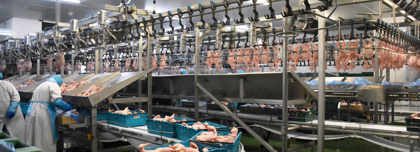 Distribution - BAADER Poultry