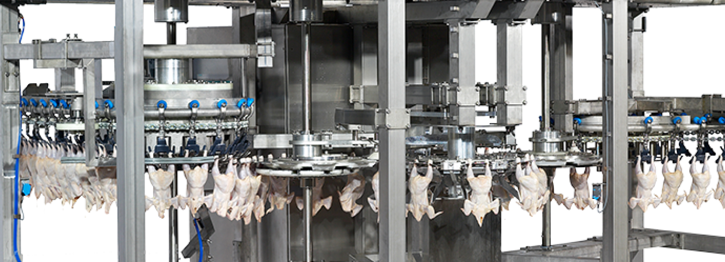 Weigh Transfer 520 - BAADER Poultry