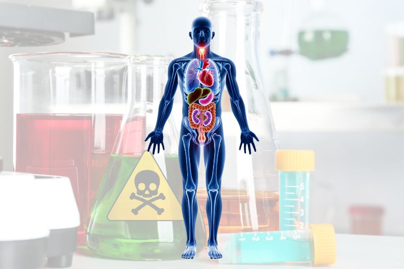 Our Toxic Environment & the Power of Integrative Detoxification | Blog ...