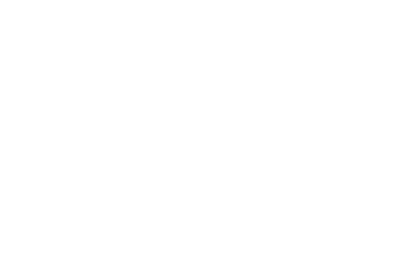 Left Lane Capital | Accelerate with us